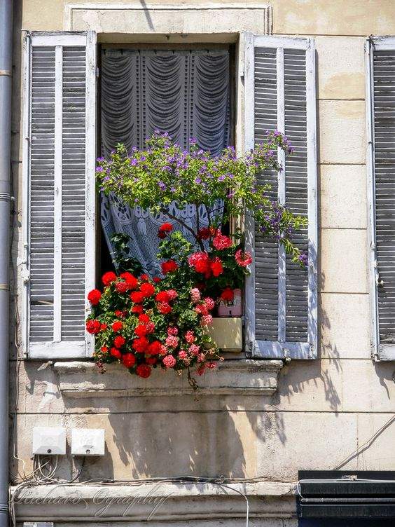 Solve BEAUTIFUL WINDOW jigsaw puzzle online with 63 pieces