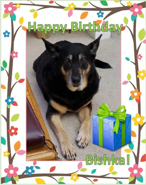 Solve ️ Happy Birthday Bishka! jigsaw puzzle online with 20 pieces