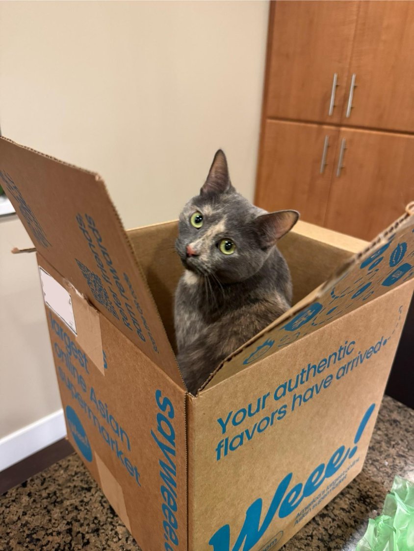 Solve Your Authentic Flavors Have Arrived. Say Weee! jigsaw puzzle ...