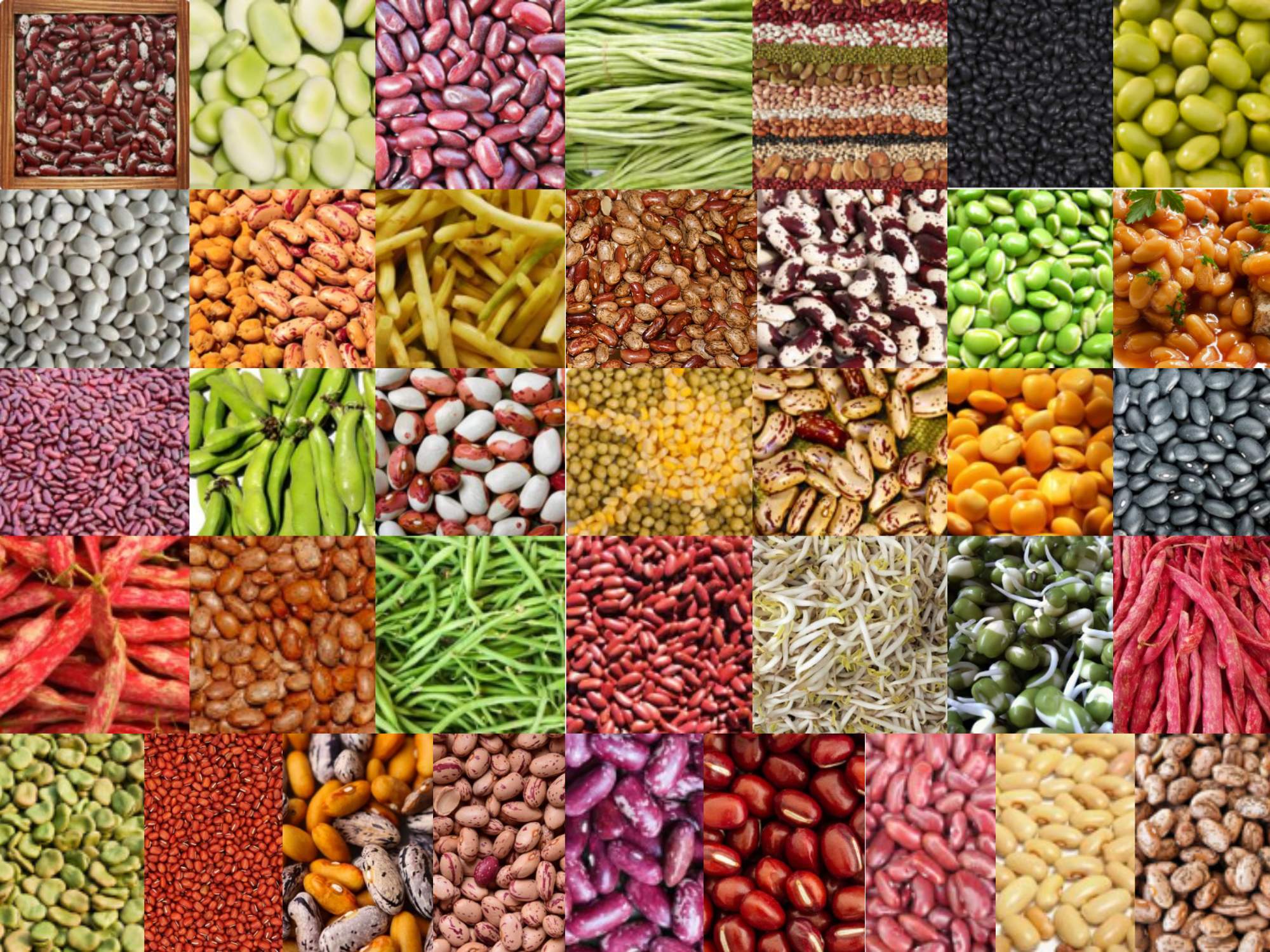 Solve Beans 2 jigsaw puzzle online with 352 pieces