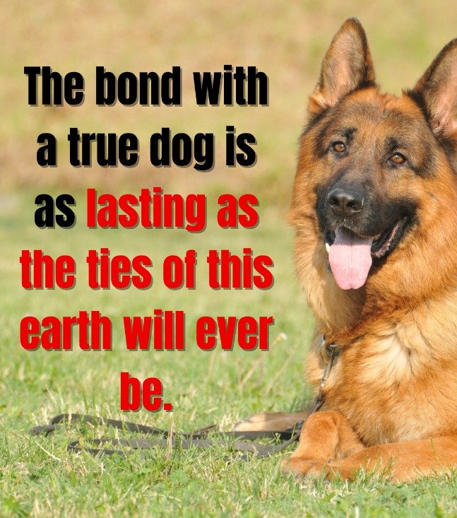 Solve The Bond. jigsaw puzzle online with 30 pieces