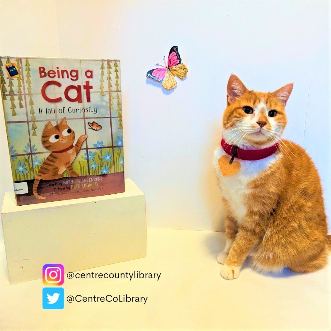 Solve Cat Icon Game #231 - Horatio the Library Cat celebrates Being A ...