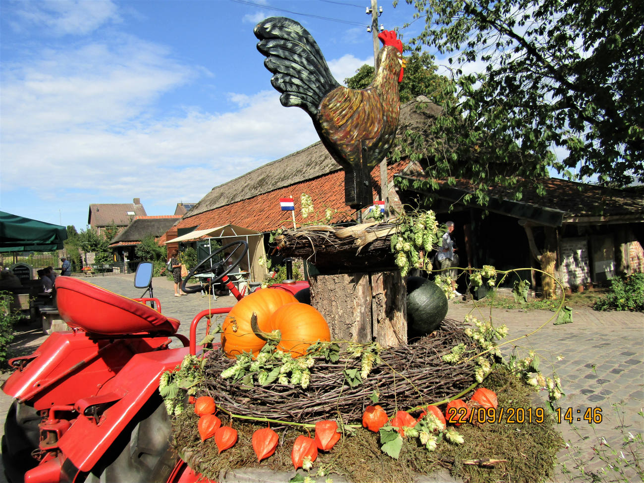 Solve IMG_3557 De haan zal koning kraaien. 2 jigsaw puzzle online with ...