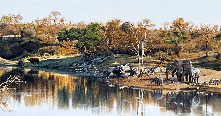 Solve Kruger National Park jigsaw puzzle online with 66 pieces