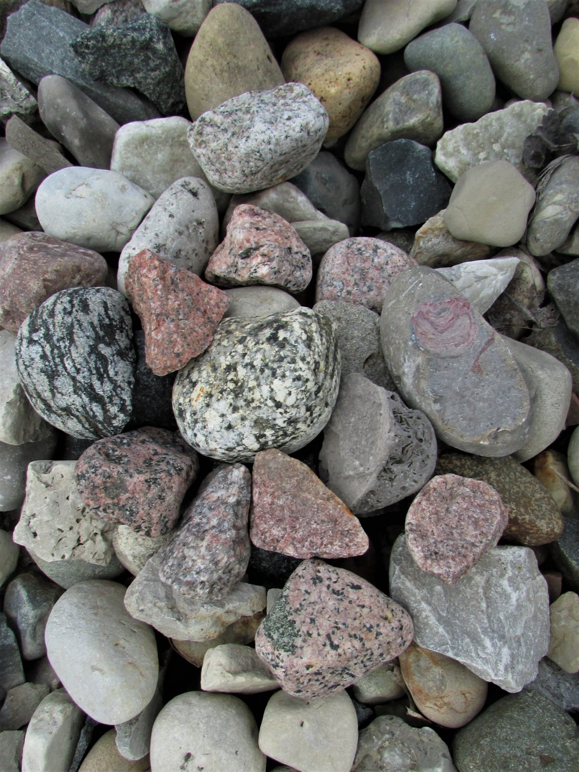 Solve What I Learned from a Pile of Rocks jigsaw puzzle online with 48 ...
