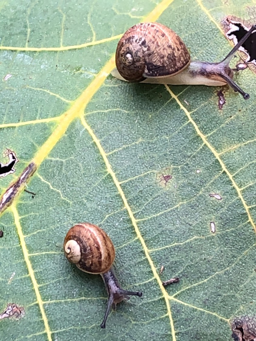 Solve Everyone’s a Winner!! jigsaw puzzle online with 35 pieces