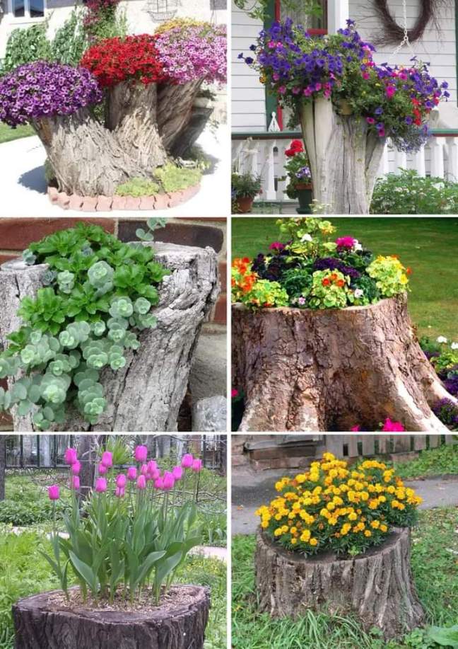 Solve Ways to use a tree stump jigsaw puzzle online with 12 pieces