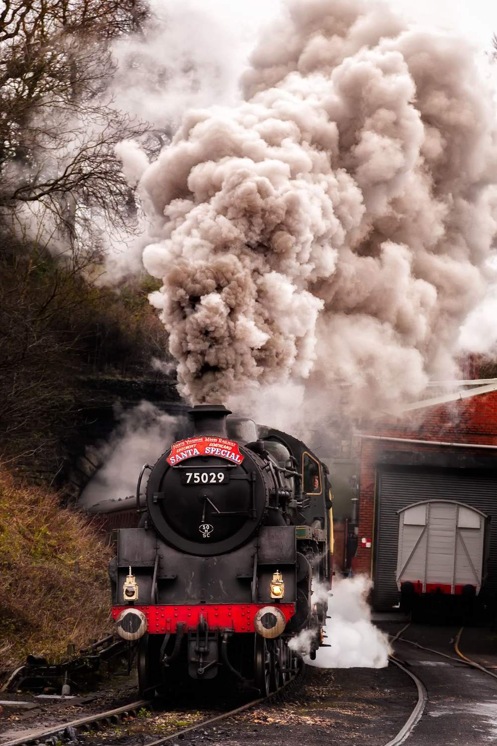 Solve British Railways Standard Class 4 4-6-0 75029. jigsaw puzzle ...