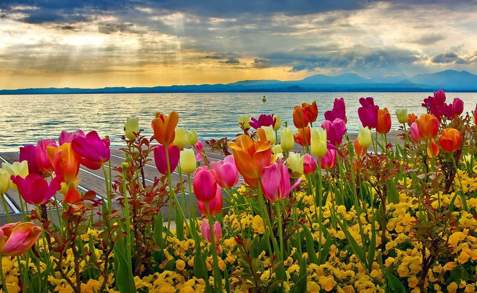 Solve Spring is Near 🌷🌸 jigsaw puzzle online with 104 pieces