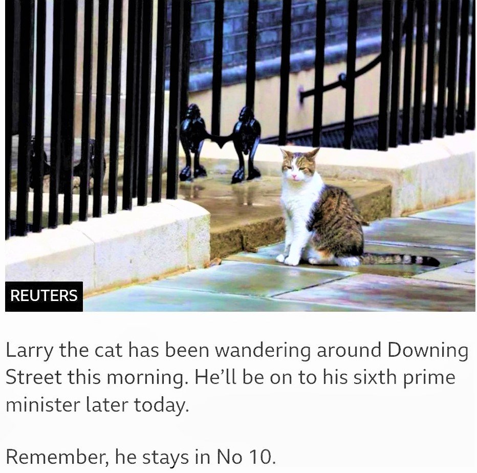 Solve Larry is an assistant to the Purr-rime Mewnister. His title is ...