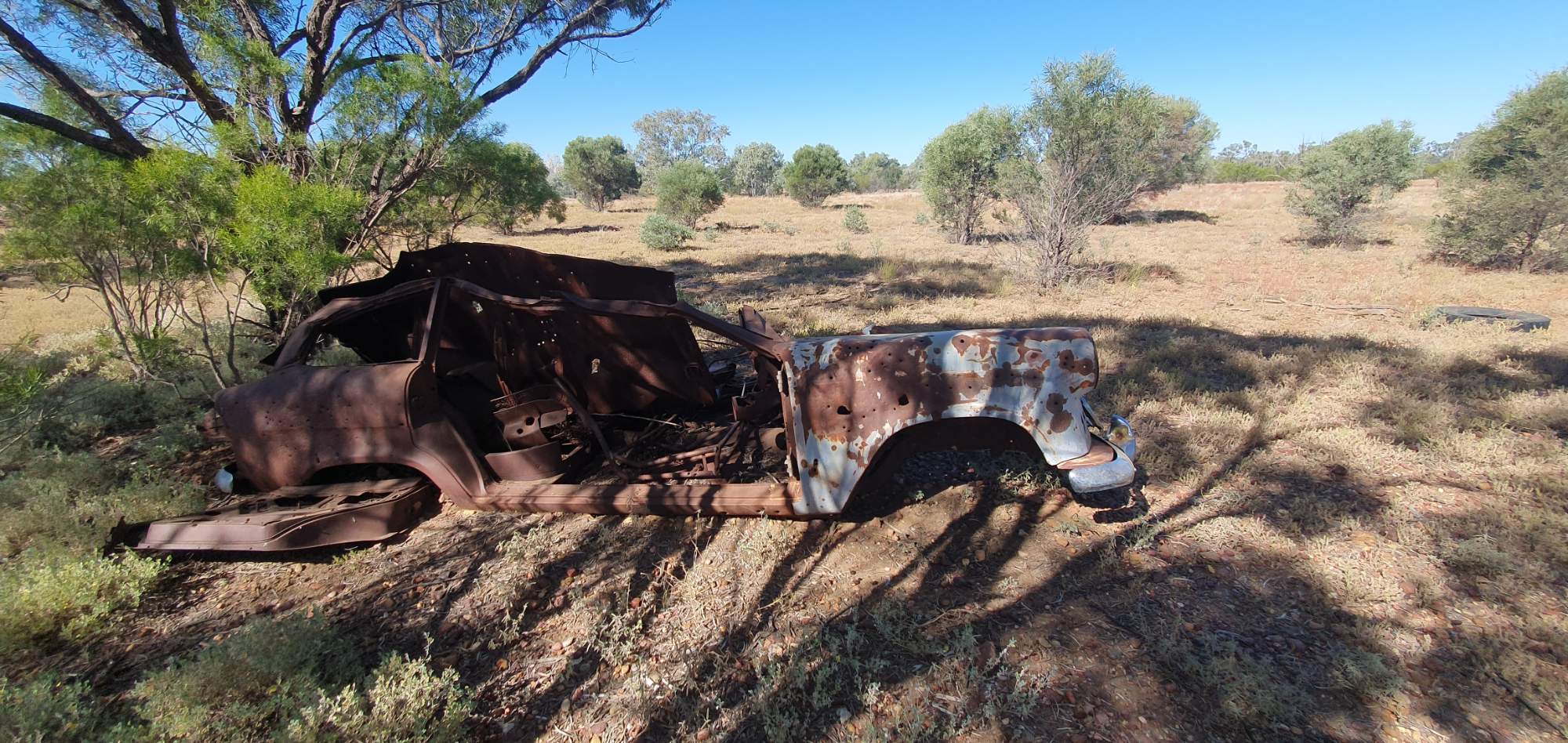 Solve Bunky Paddock Basher jigsaw puzzle online with 300 pieces