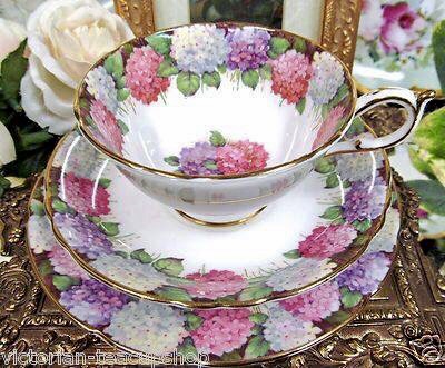 Solve Hydrangea China jigsaw puzzle online with 12 pieces