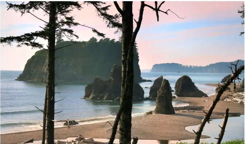 Solve Washington state, USA jigsaw puzzle online with 40 pieces
