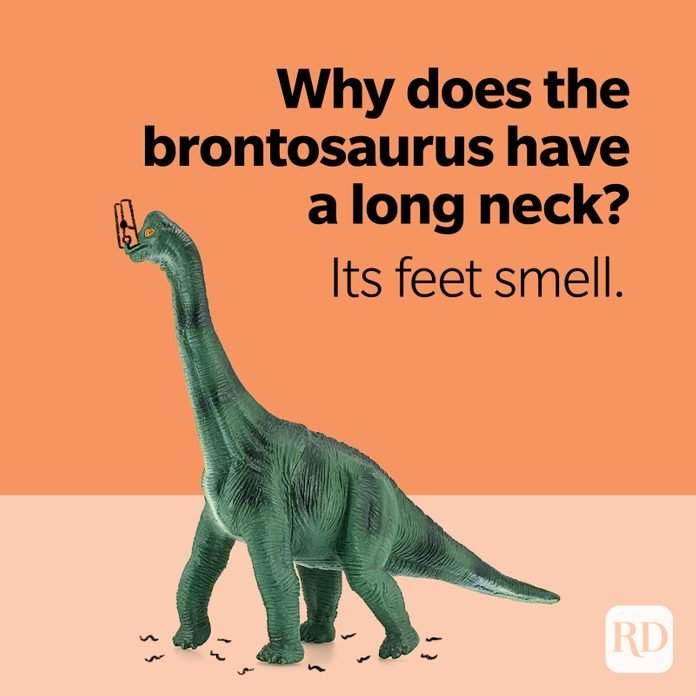 Solve dinosaur-jokes-brontosaurus-long-neck-feet-smell jigsaw puzzle ...