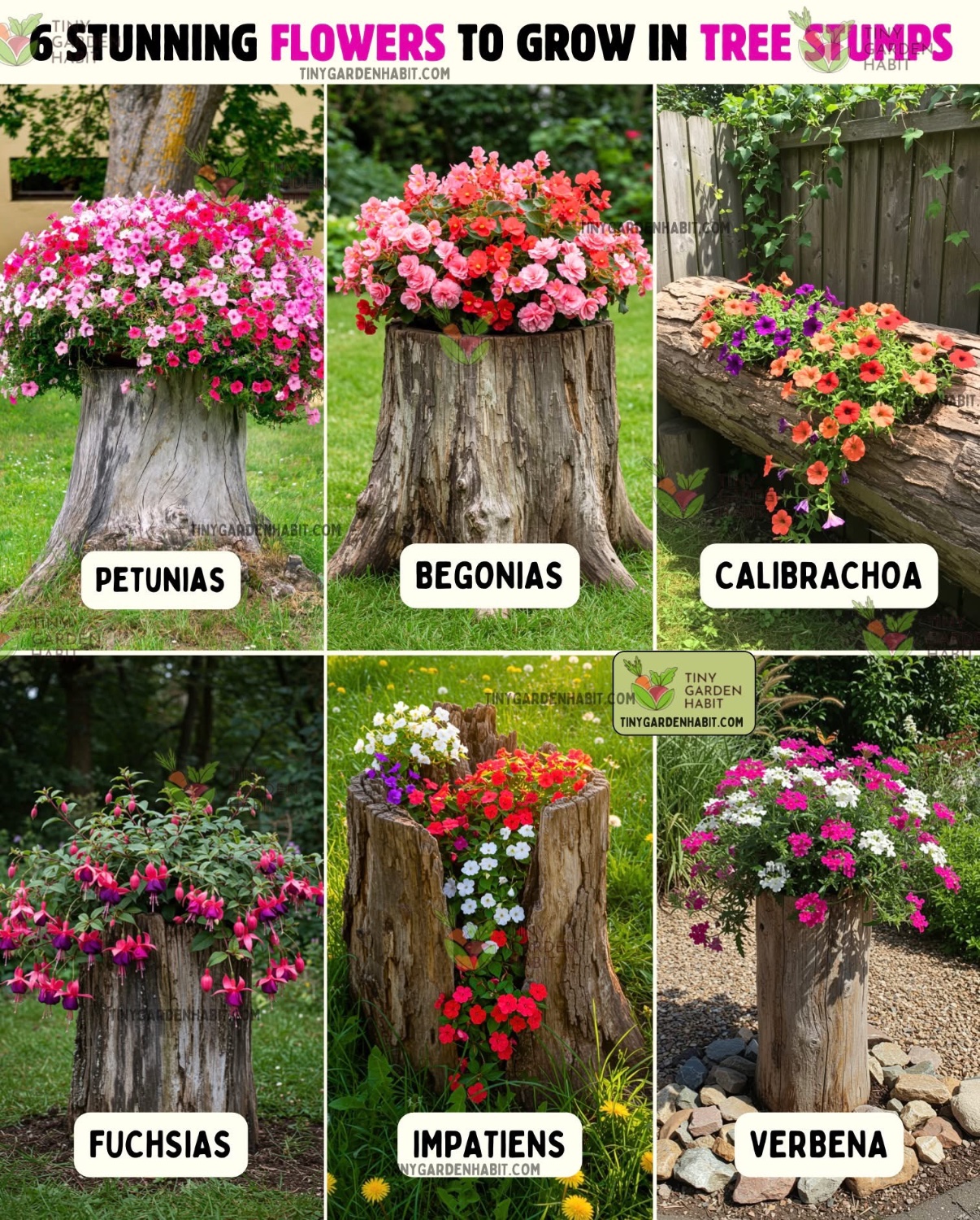 Solve Flowers and tree stumps jigsaw puzzle online with 48 pieces