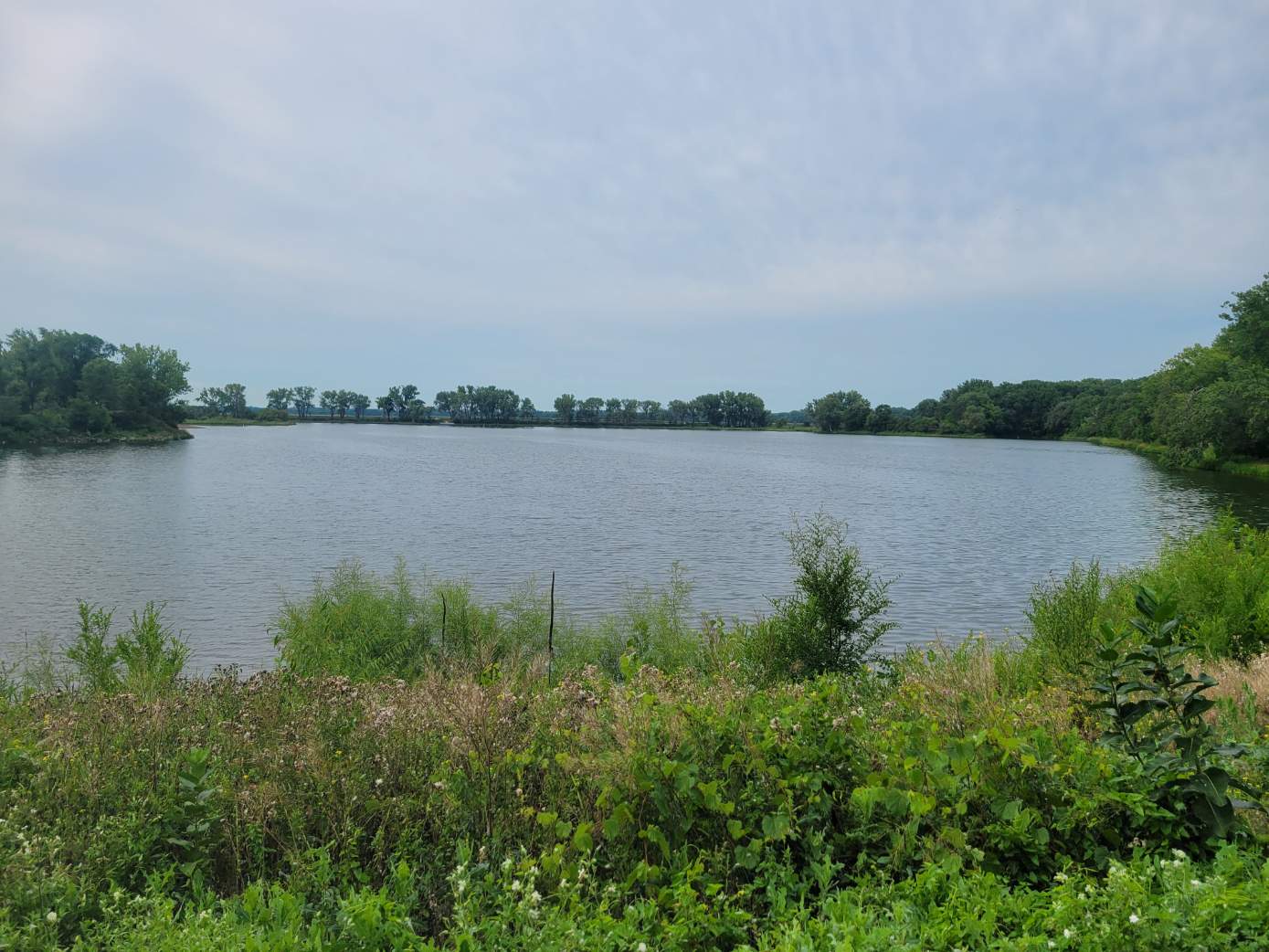 Solve calm water jigsaw puzzle online with 35 pieces