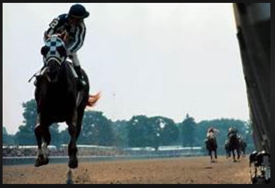 Solve Secretariat at the Belmont Stakes : 50 years ago today (June 9th ...