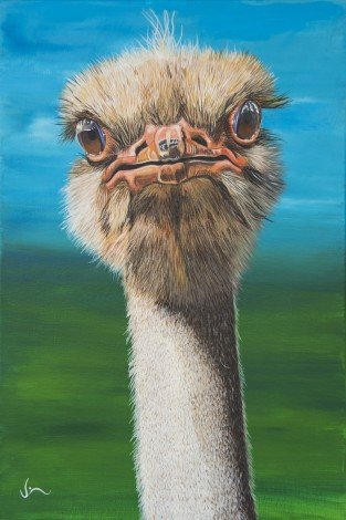 Solve "Angry Ostrich" jigsaw puzzle online with 12 pieces
