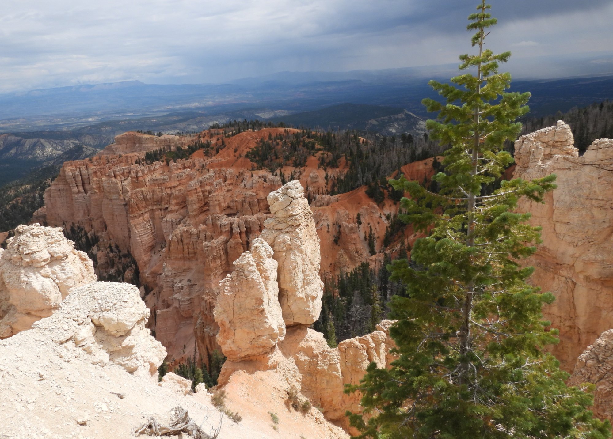Solve Rainbow Point - Bryce Canyon National Park jigsaw puzzle online ...