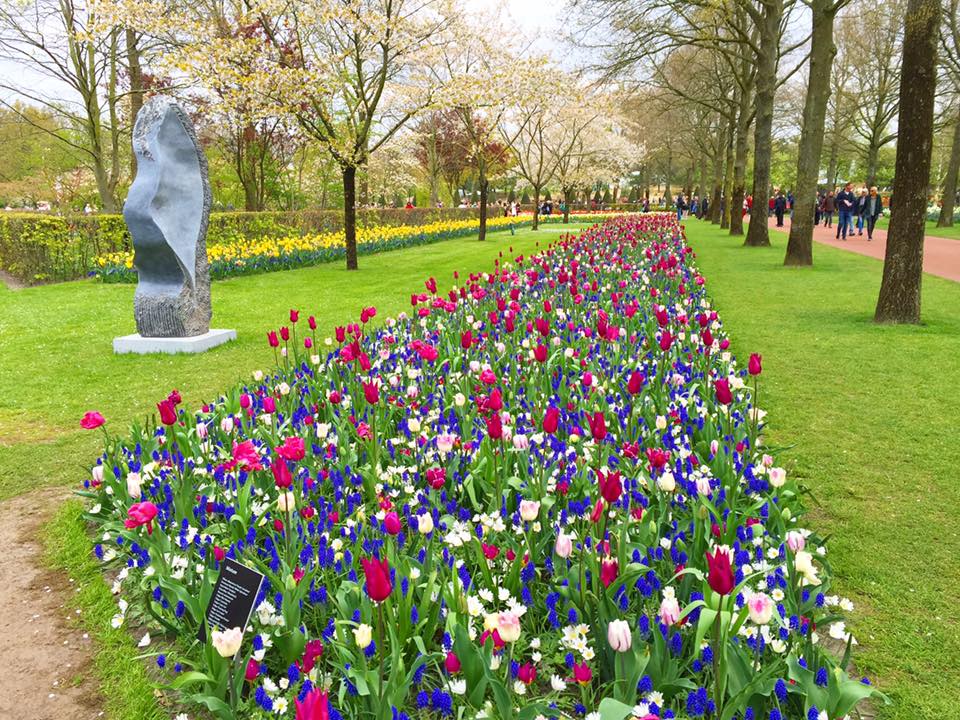 Solve Flowers for today :-) jigsaw puzzle online with 30 pieces