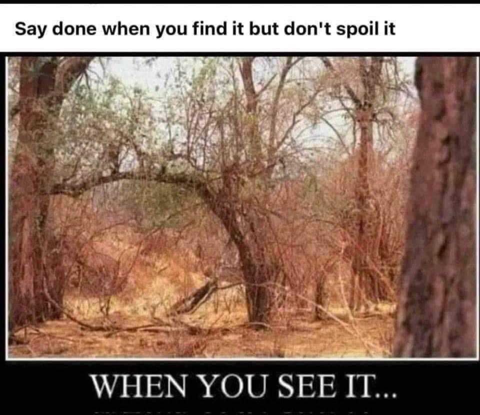 Solve Do You See It Jigsaw Puzzle Online With 9 Pieces