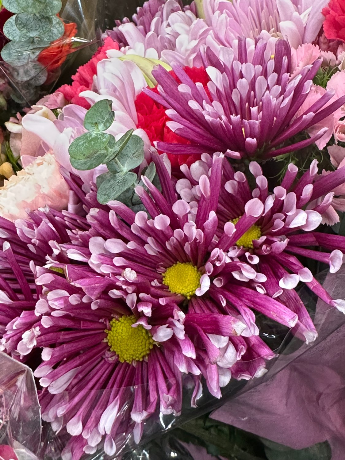 Solve Fancy chrysanthemums jigsaw puzzle online with 63 pieces