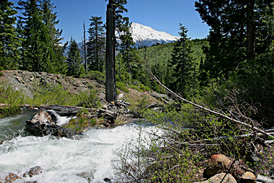 Solve Shasta Trinity National - Park hiking trails jigsaw puzzle online ...