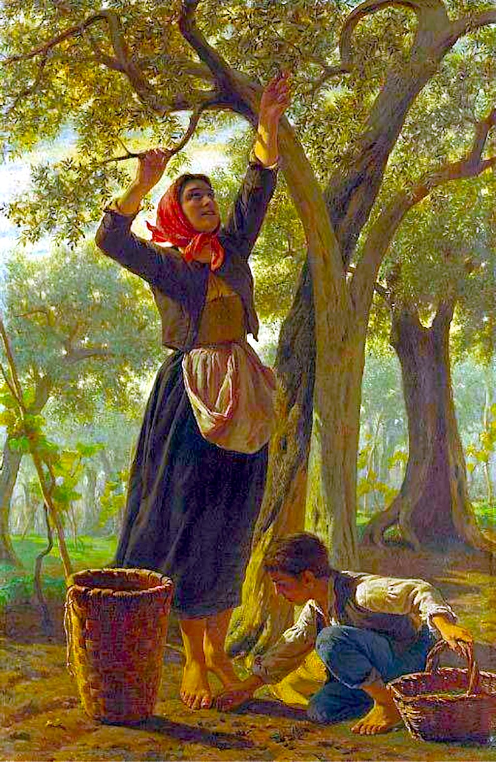 Solve The olive harvest jigsaw puzzle online with 96 pieces