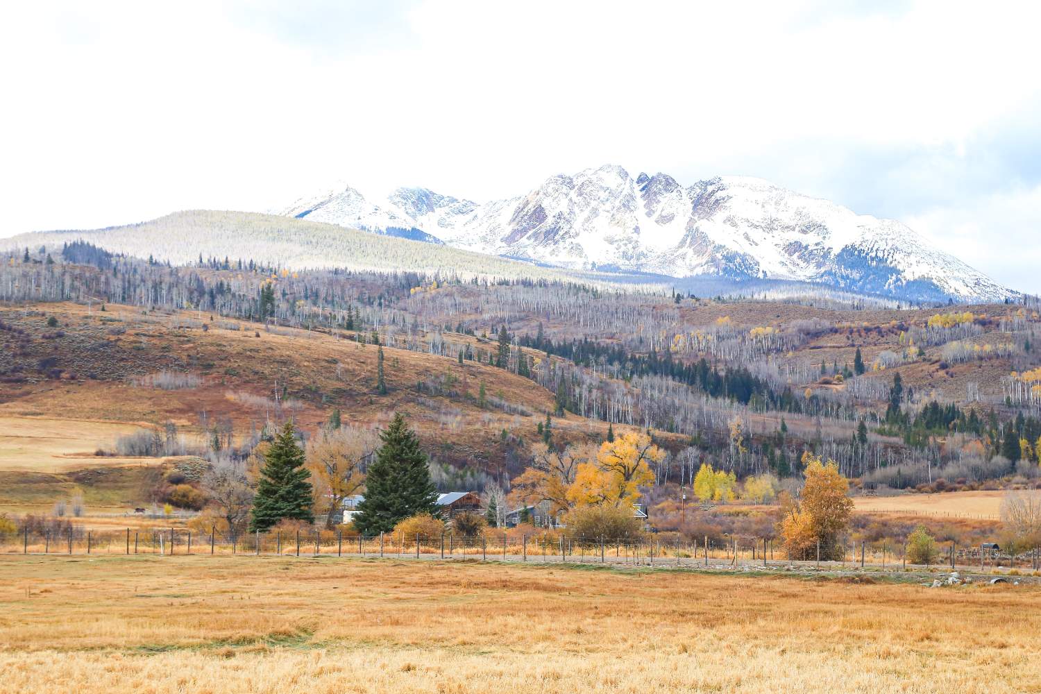 Solve COLORADO RANCH jigsaw puzzle online with 77 pieces