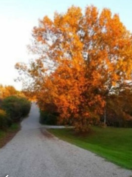 Solve One late Oct. day jigsaw puzzle online with 99 pieces