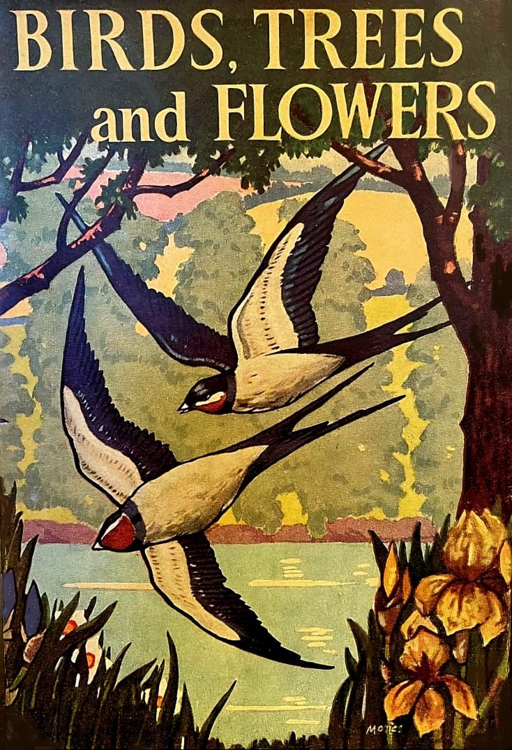 Solve Birds Trees and Flowers Book Cover jigsaw puzzle online with 117 ...