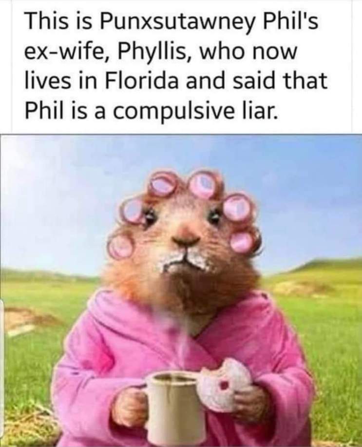 Solve This is Punxsutawney Phil's ex-wife who lives in Florida now and ...
