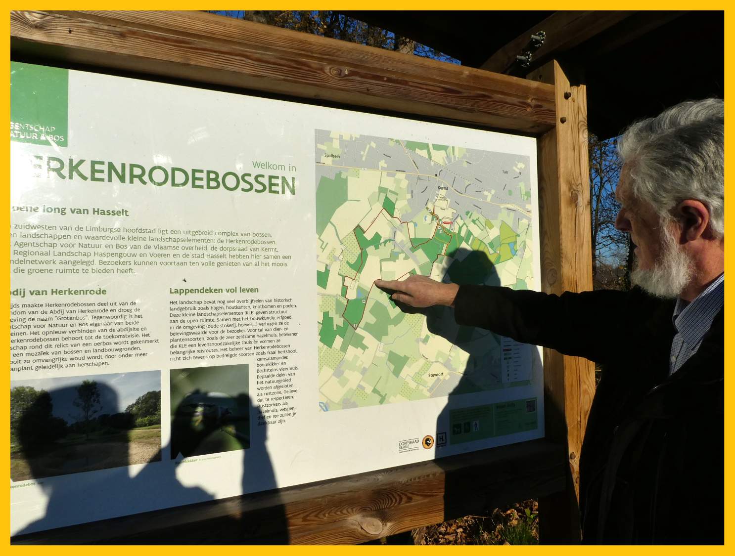 Solve Herkenrode bos wandeling. jigsaw puzzle online with 48 pieces