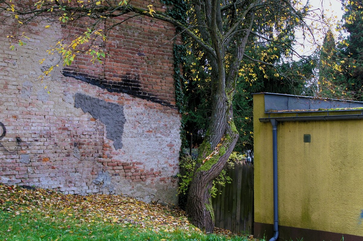 Solve Za plotem - Behind the fence jigsaw puzzle online with 15 pieces