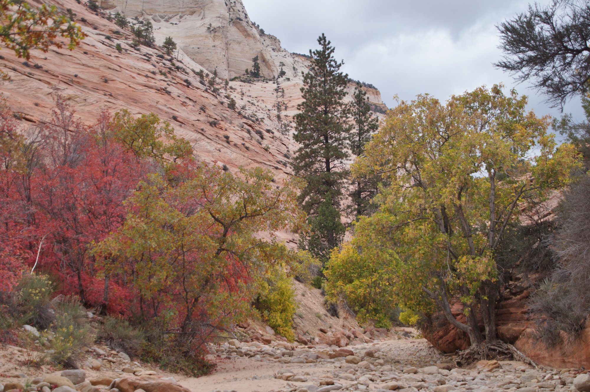 Solve Wash jigsaw puzzle online with 126 pieces