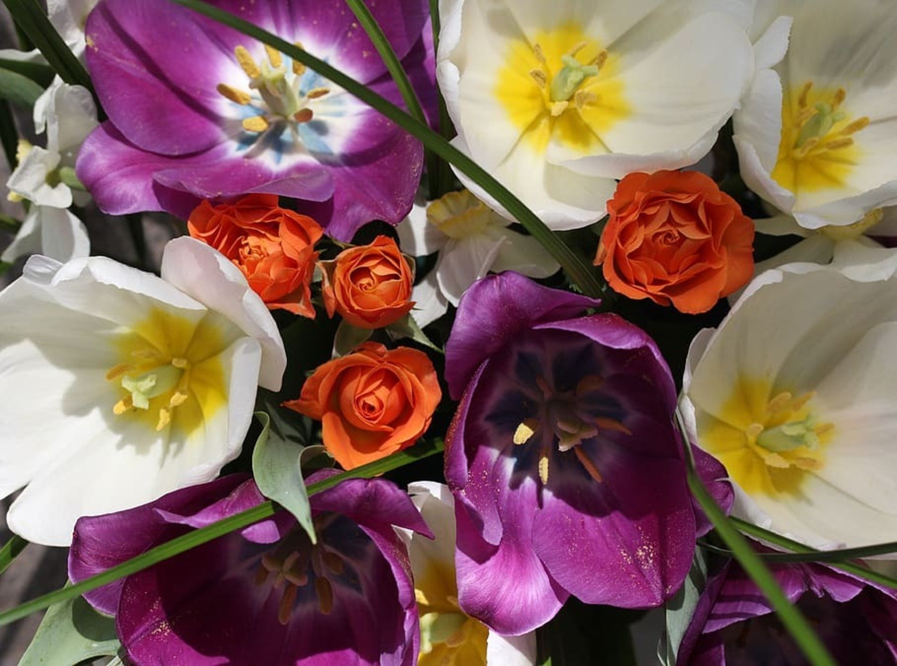 Jigsaw Puzzle | 594 pieces | flowers | Jigidi