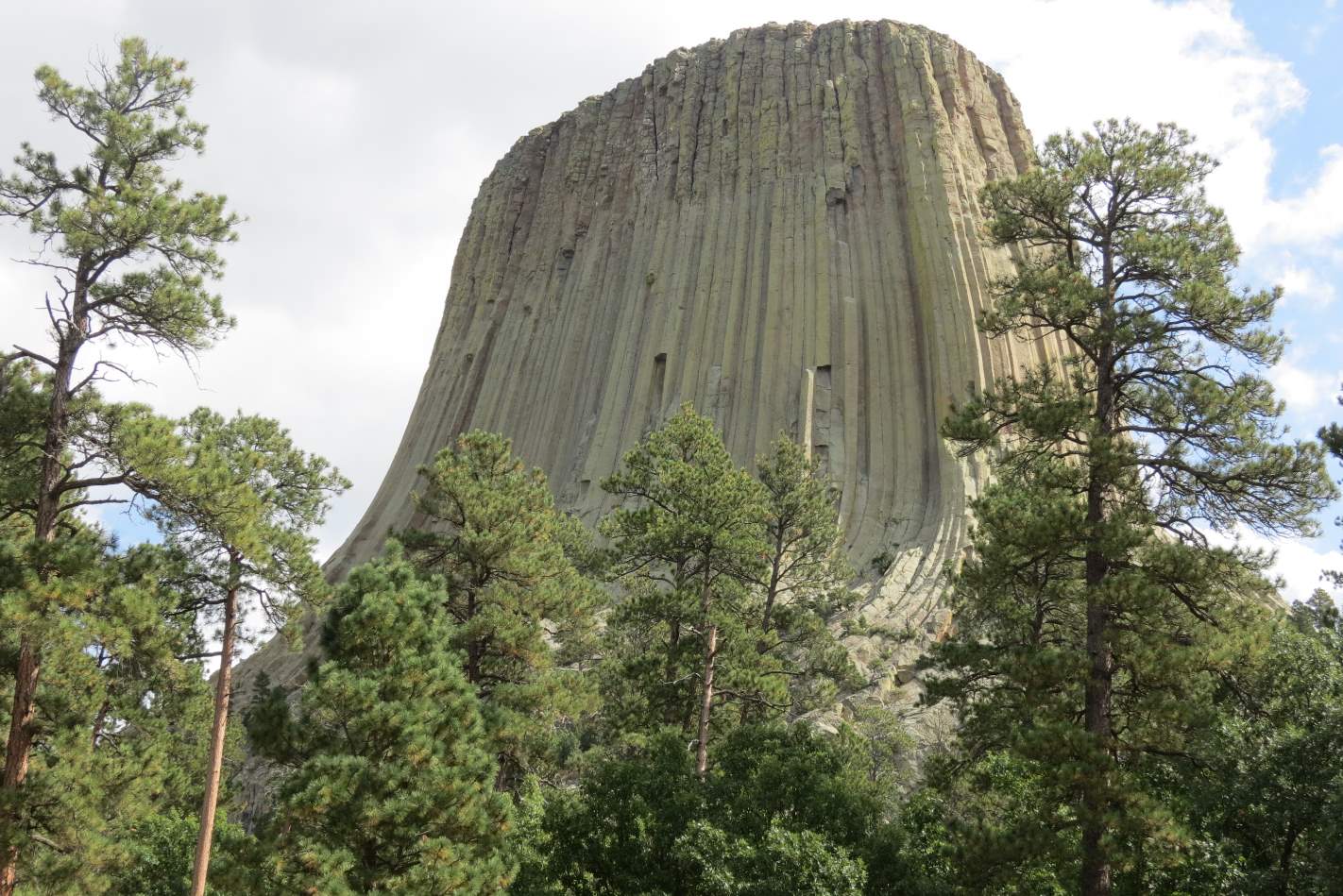Solve Devils Tower--Above The Trees jigsaw puzzle online with 35 pieces