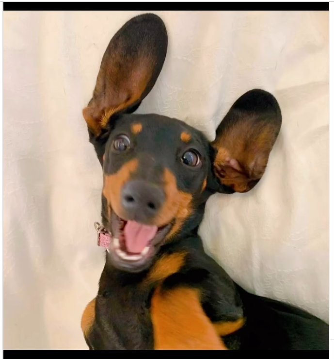 Solve The Fight To Find Valerie Who Went Missing Over Half Her Life Ago ...