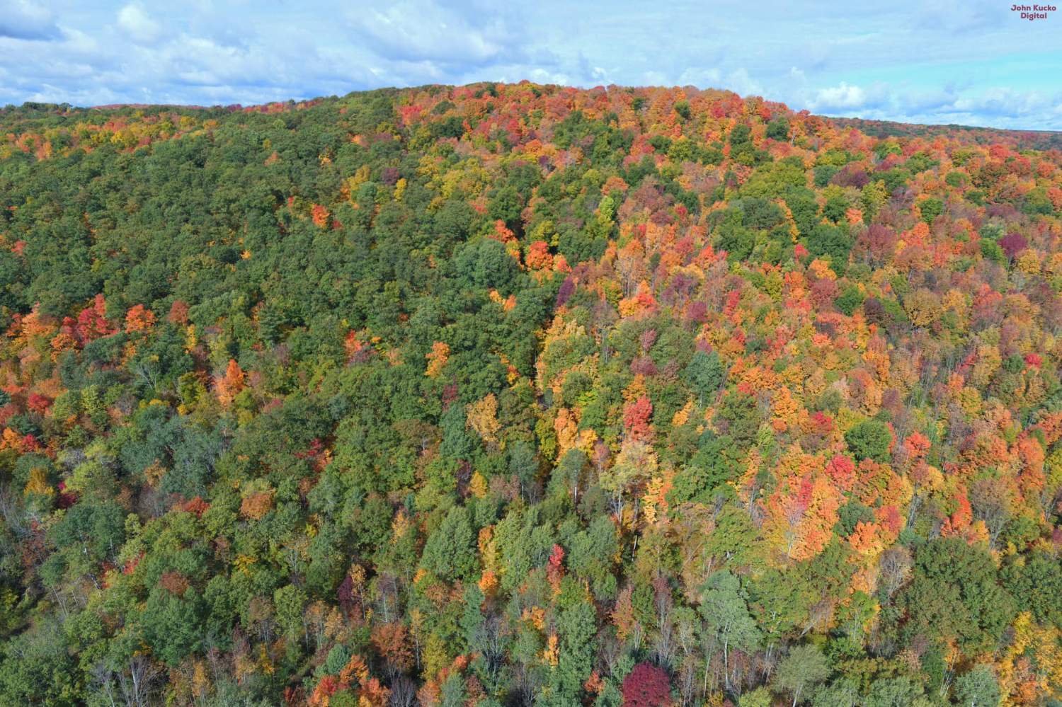 Solve Half and Half jigsaw puzzle online with 77 pieces