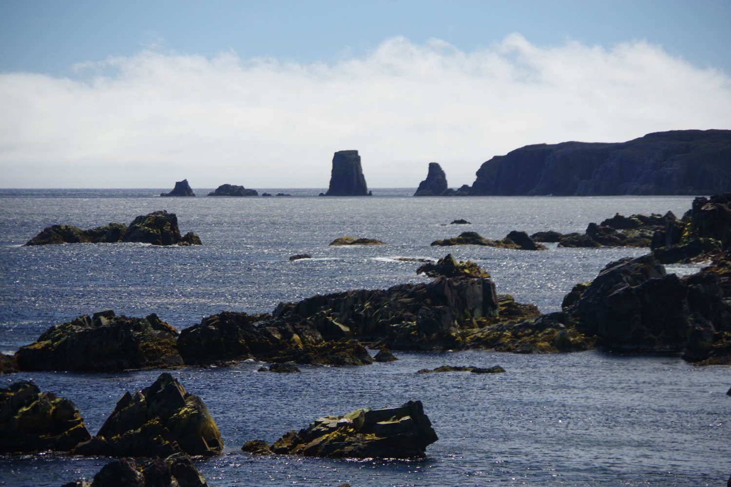 Solve Sea Stack jigsaw puzzle online with 12 pieces