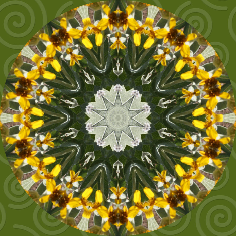 Solve yellow kal jigsaw puzzle online with 100 pieces