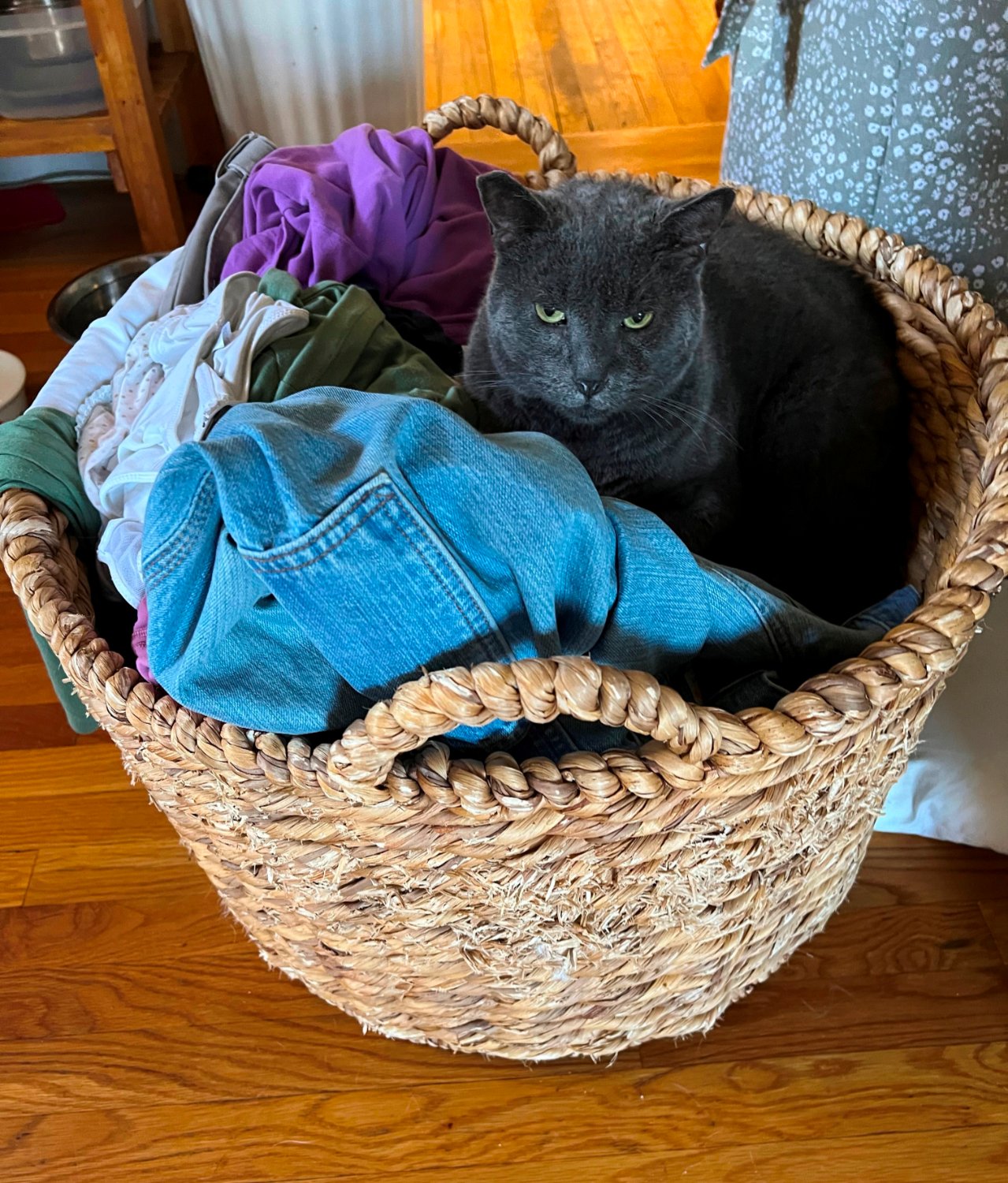 Solve Another laundry assistant jigsaw puzzle online with 120 pieces