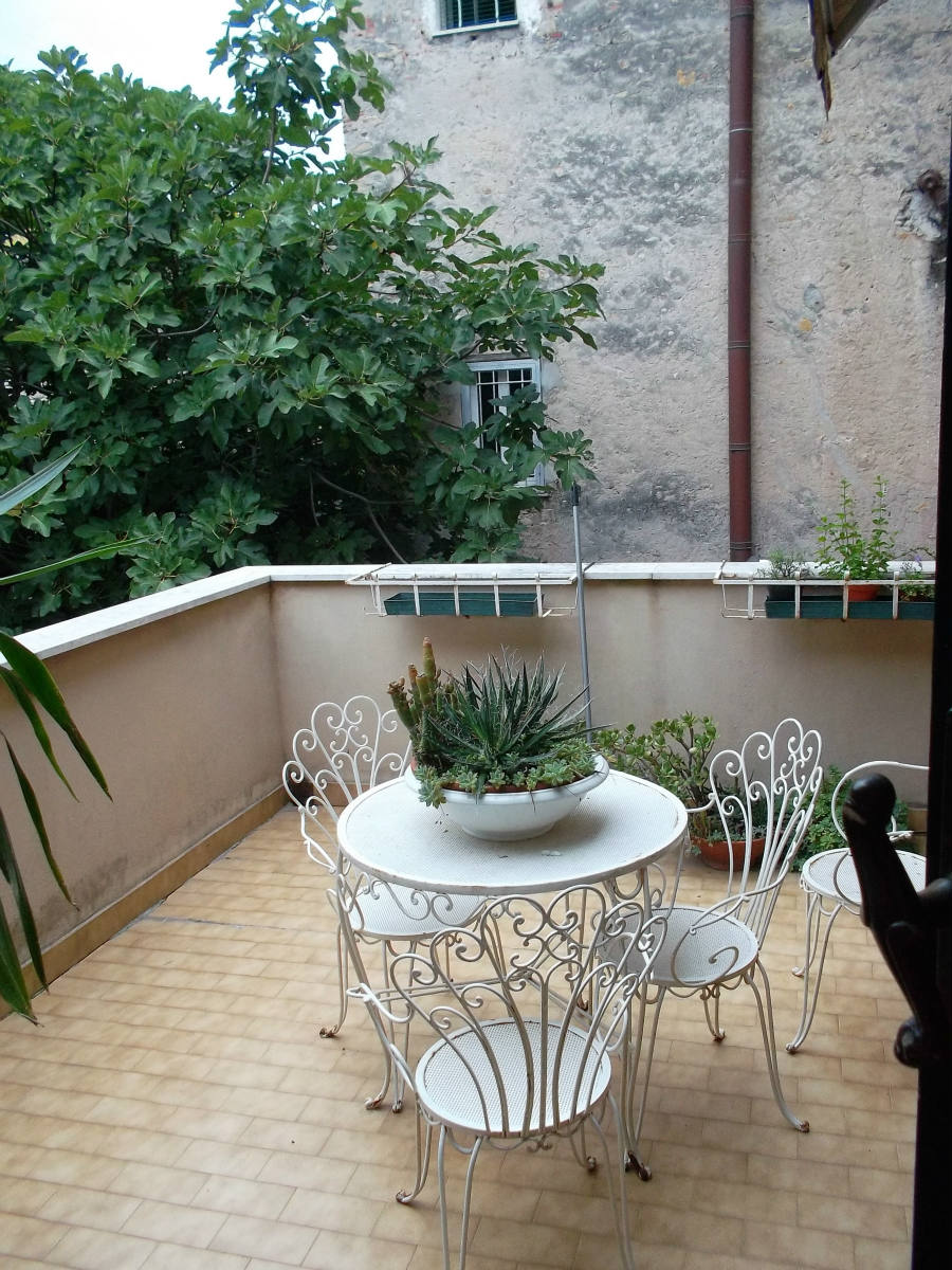 Solve By the fig tree jigsaw puzzle online with 154 pieces