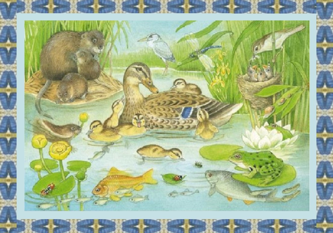 Solve Animal Families jigsaw puzzle online with 48 pieces
