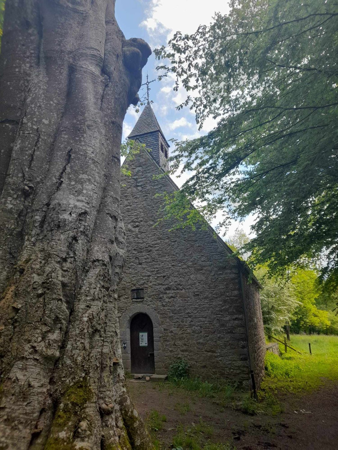 Solve 43 jigsaw puzzle online with 108 pieces