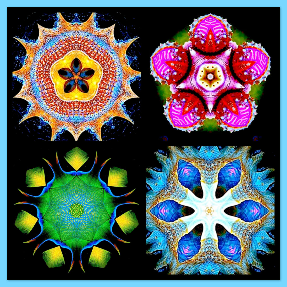 Solve Kaleidos from Under the Sea! (large) jigsaw puzzle online with ...