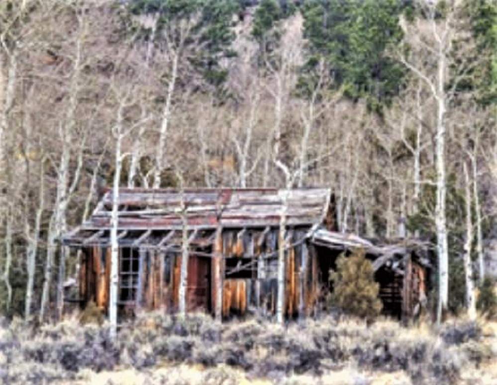 Solve "Colorado Aspen Grove" jigsaw puzzle online with 63 pieces