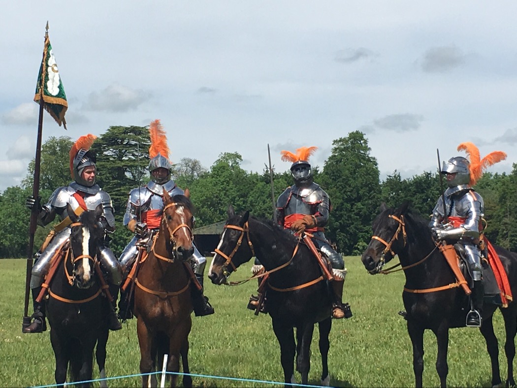 Solve Knights in shining armour jigsaw puzzle online with 30 pieces