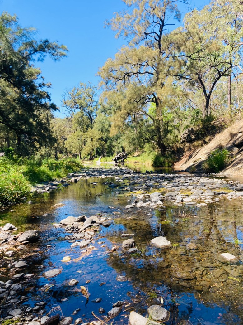 Solve The Washpools, Upper Hunter Valley, NSW jigsaw puzzle online with ...