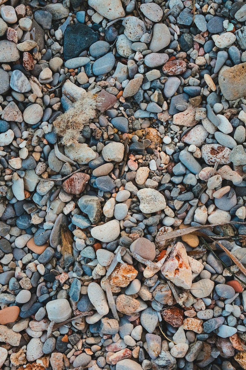 Solve Pretty Pebbles jigsaw puzzle online with 96 pieces